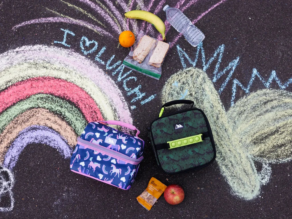 4 Reasons Why Your Kids Need an Arctic Zone Lunch Box